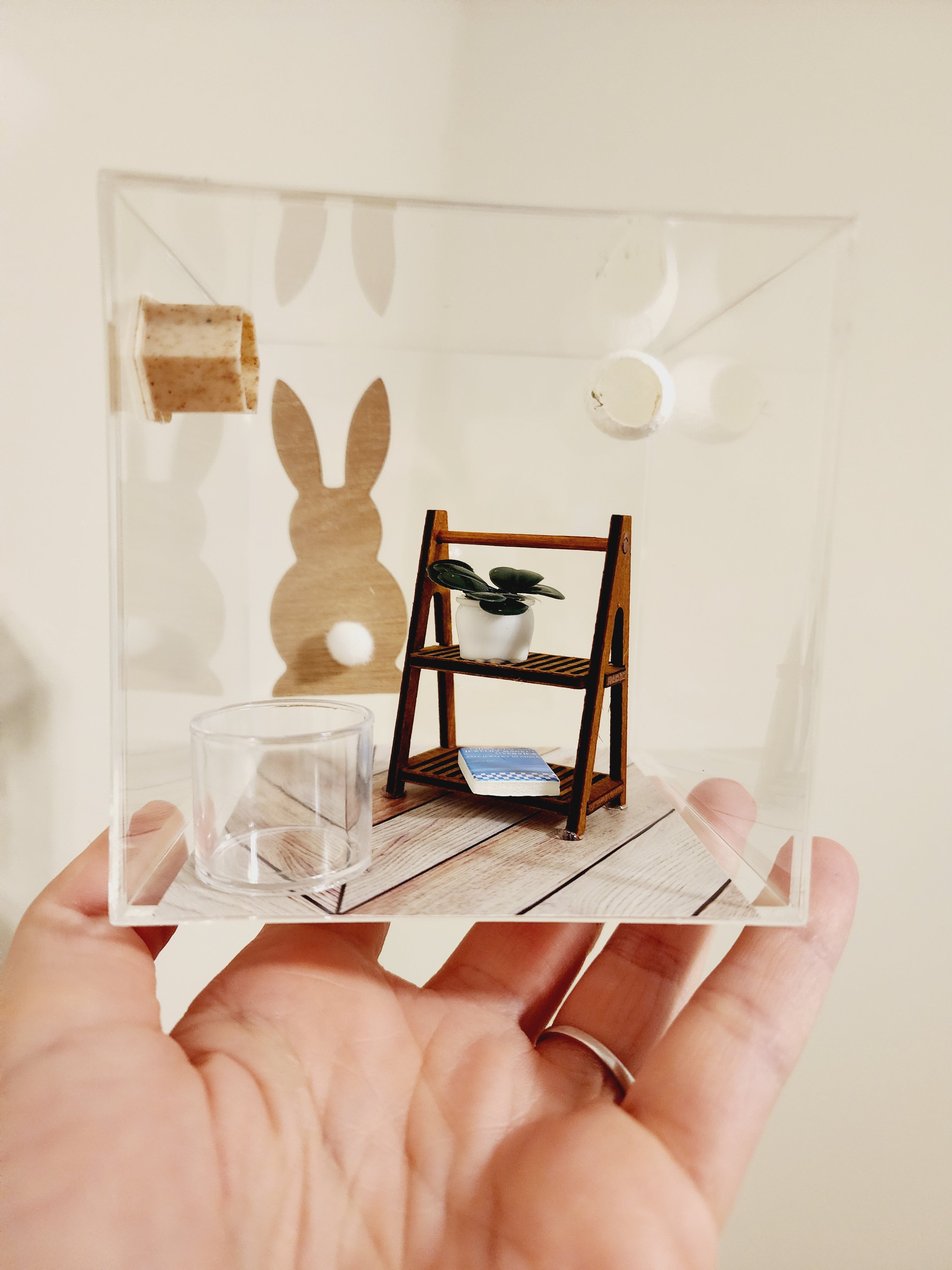 Jumping Spider Enclosures – MysticLabyrinth