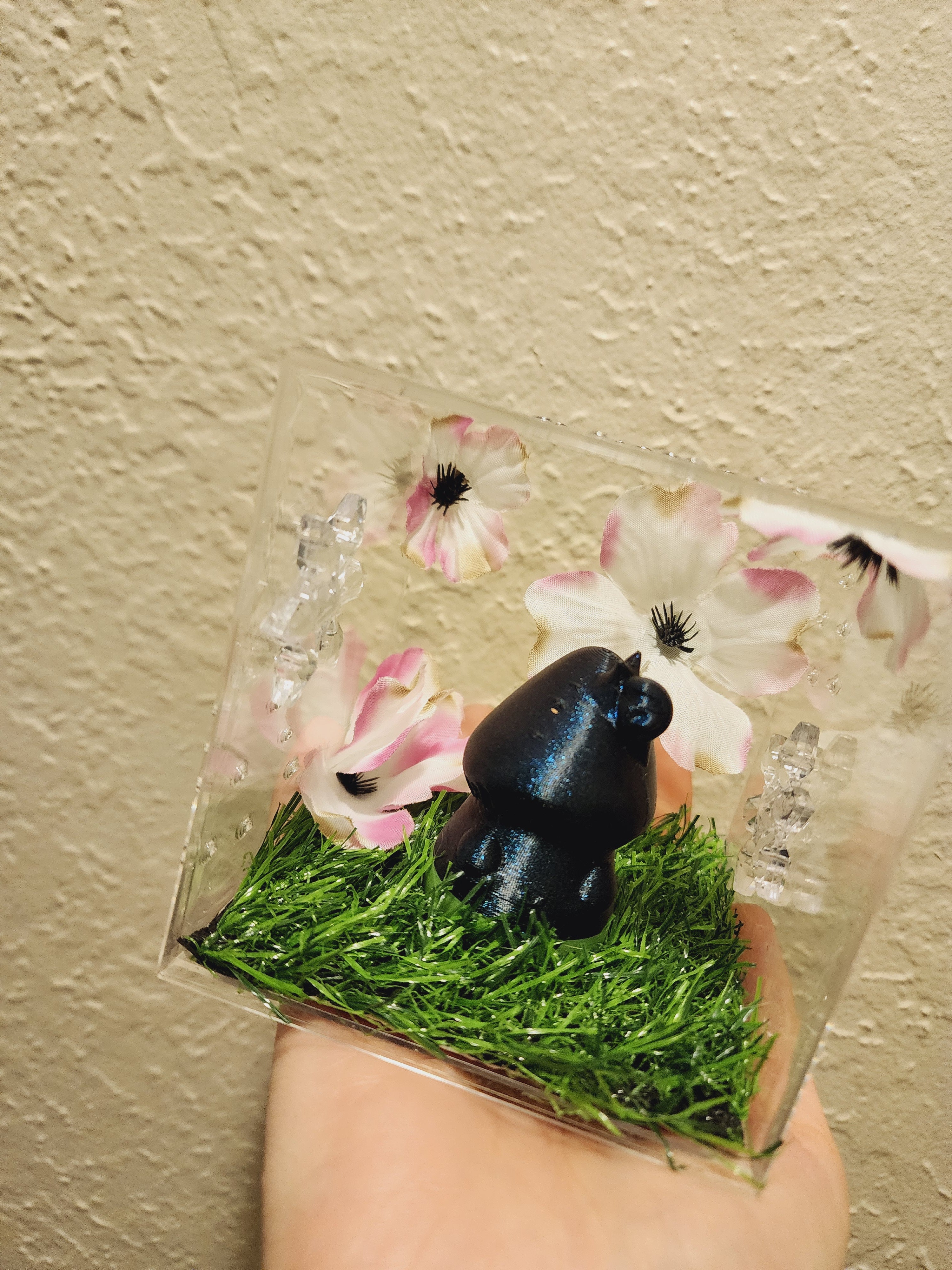 Jumping Spider Enclosures – MysticLabyrinth