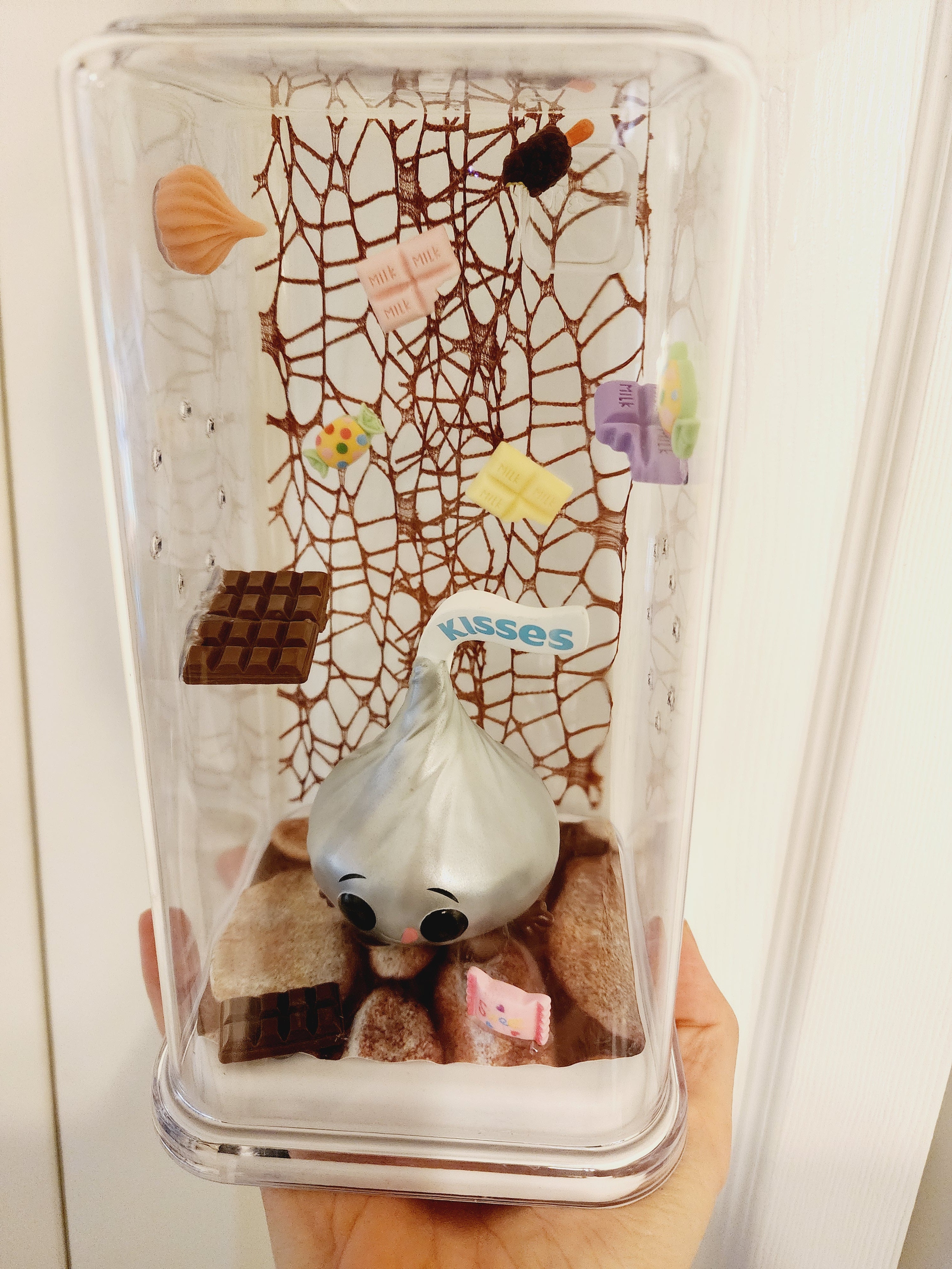 Jumping Spider Enclosures – MysticLabyrinth