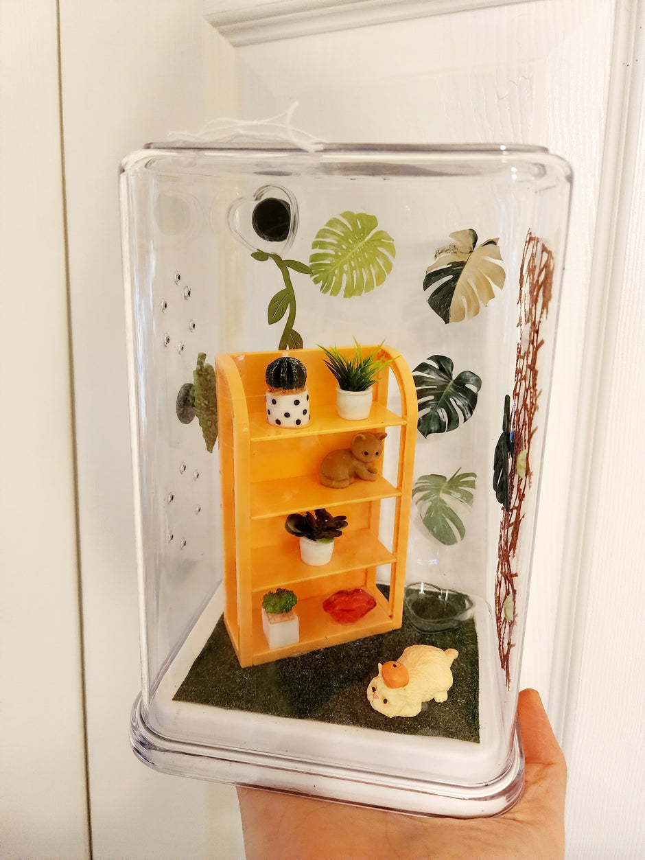 Jumping Spider Enclosures – MysticLabyrinth