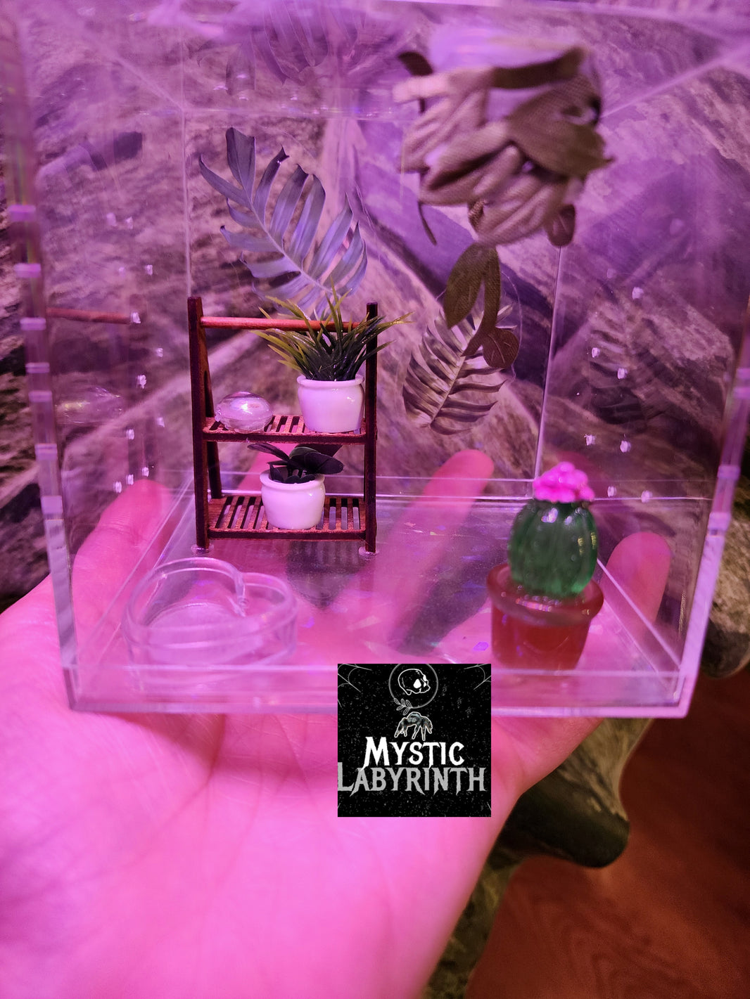 Jumping Spider Enclosures – MysticLabyrinth