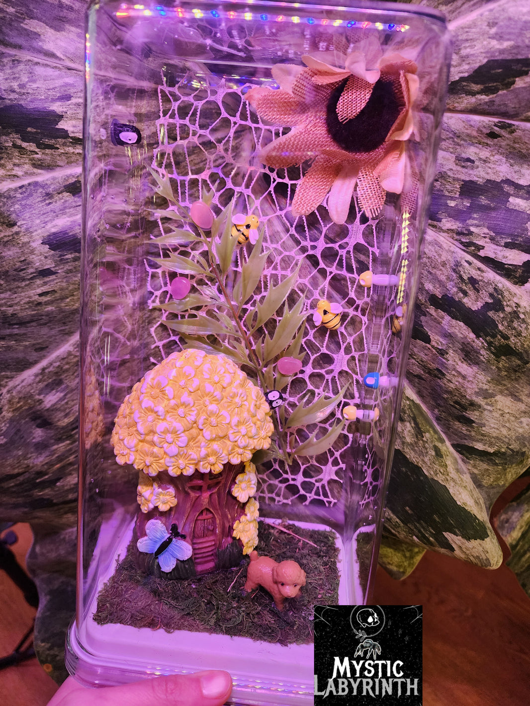 Jumping Spider Enclosures – MysticLabyrinth