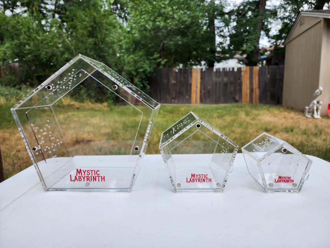 Jumping Spider Enclosures – MysticLabyrinth