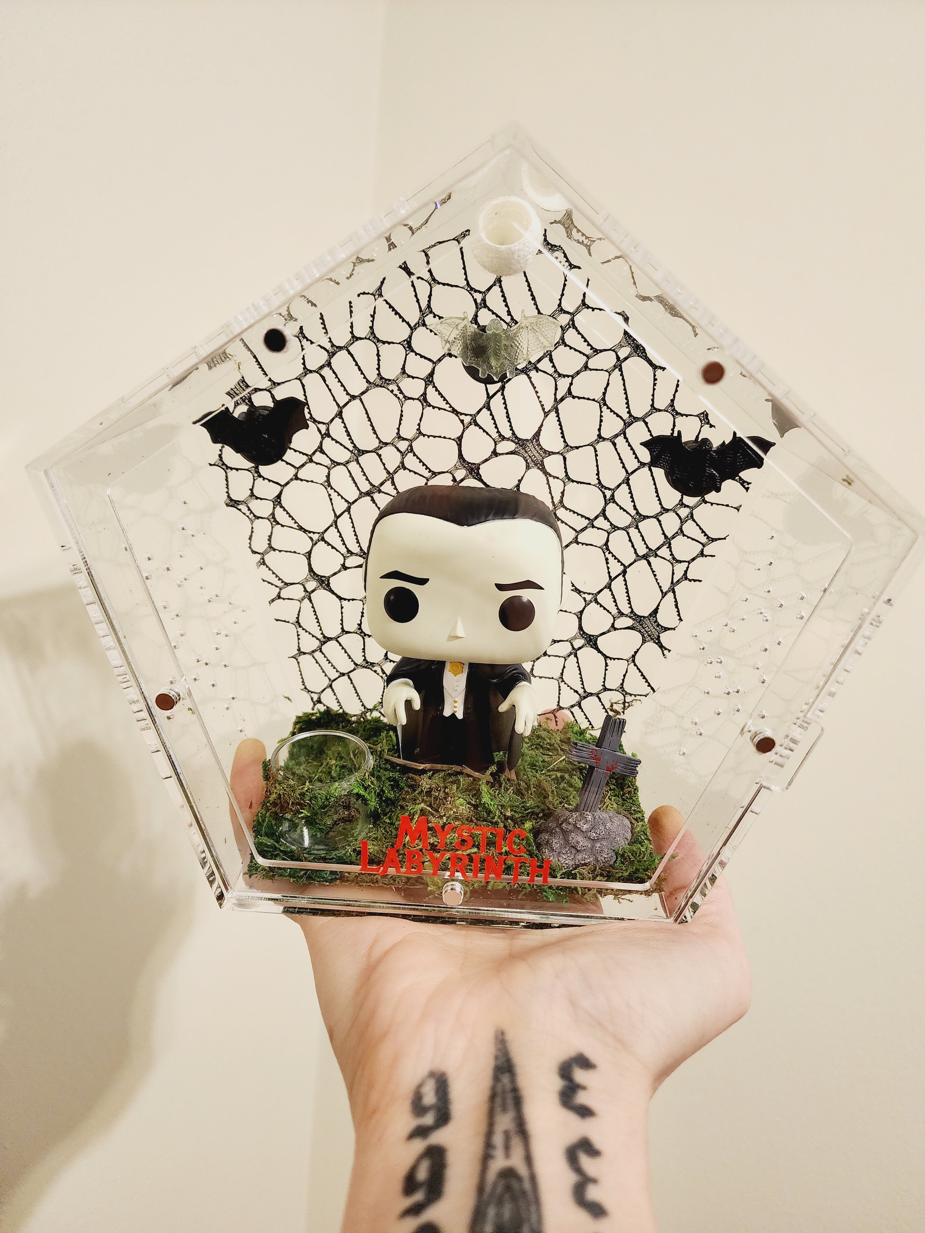 Jumping Spider Enclosures – MysticLabyrinth