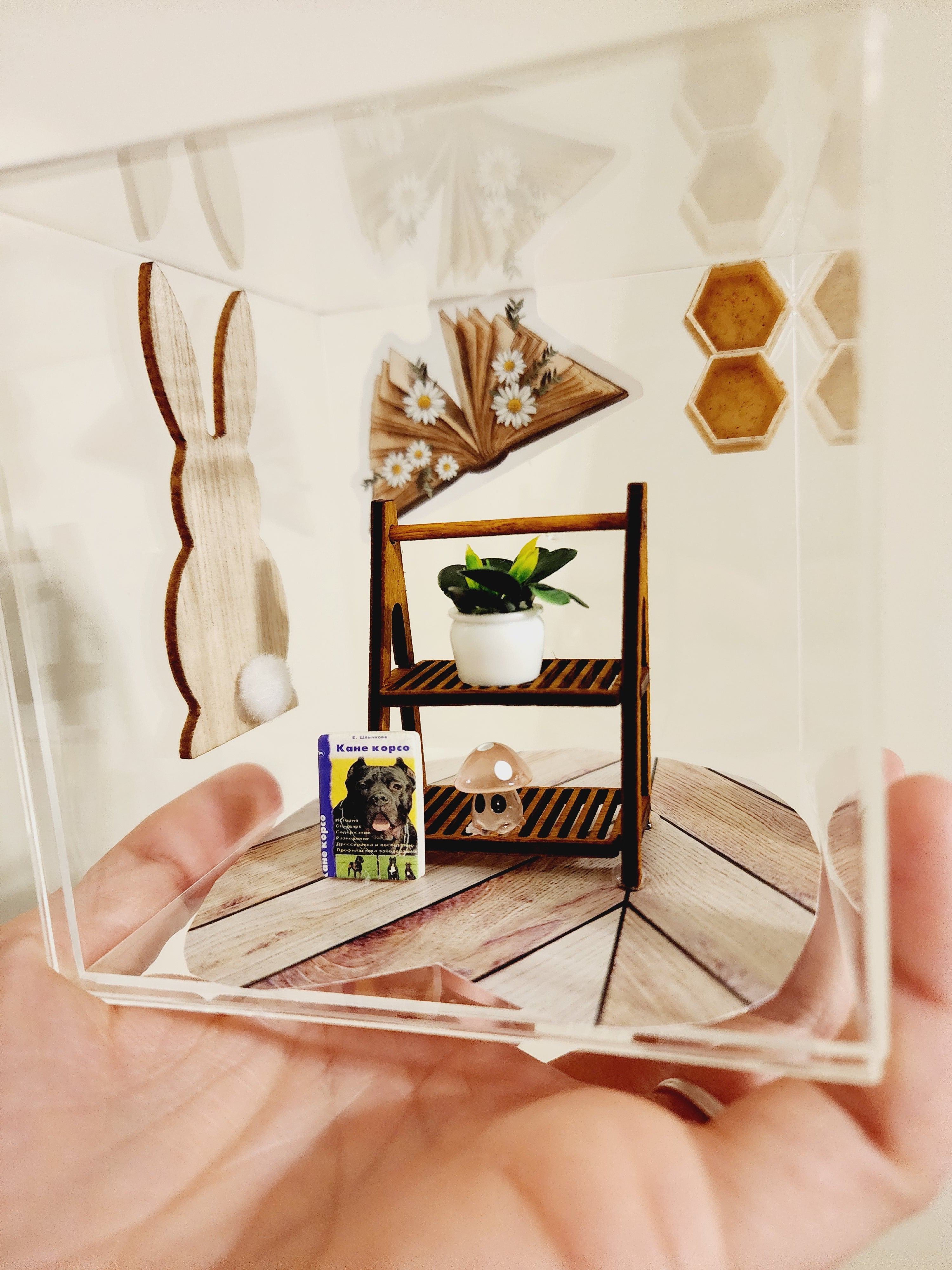 Jumping Spider Enclosures – MysticLabyrinth