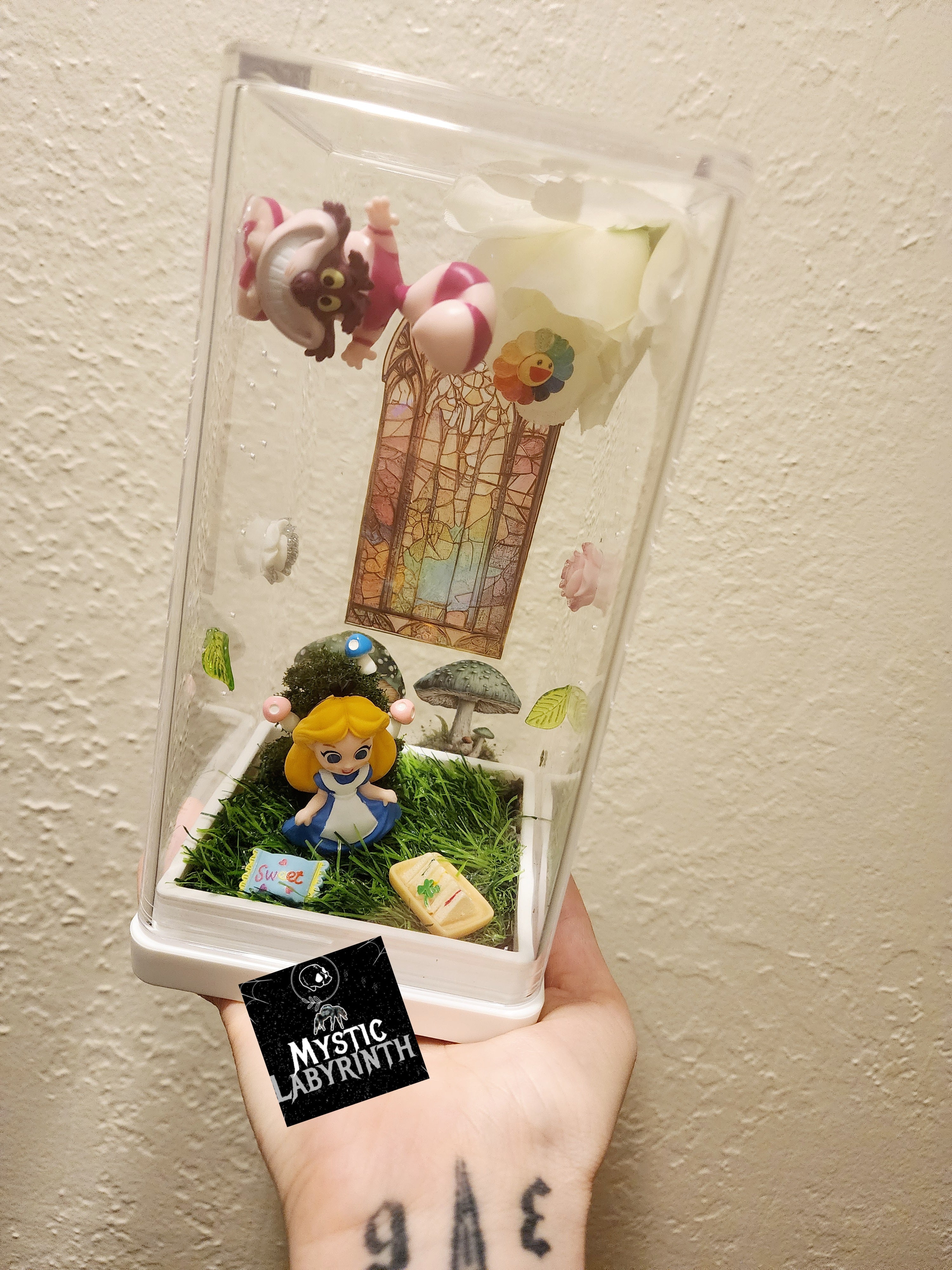 Jumping Spider Enclosures – MysticLabyrinth